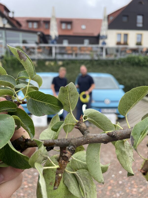 DR. BUTZE GmbH & Co. KG